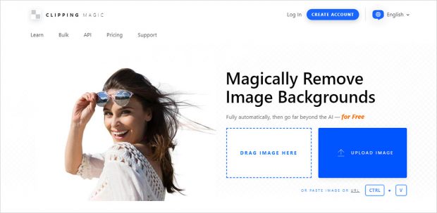10 Best Free Online "Remove Background from Image" Websites - Designbolts