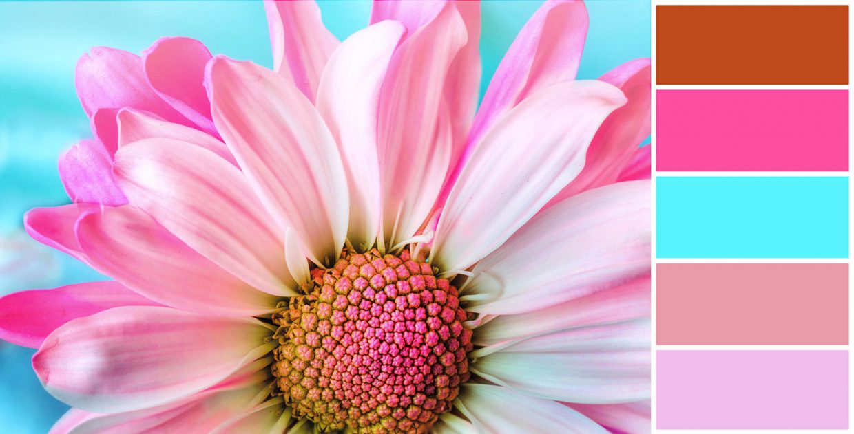 10 Best Summer 5 Color Combinations for 2022 - Designbolts