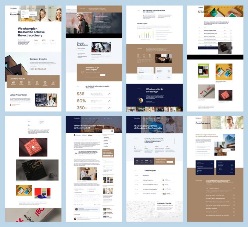 Companion | 5-Star WordPress Theme For Business, Finance & Consulting - Designbolts