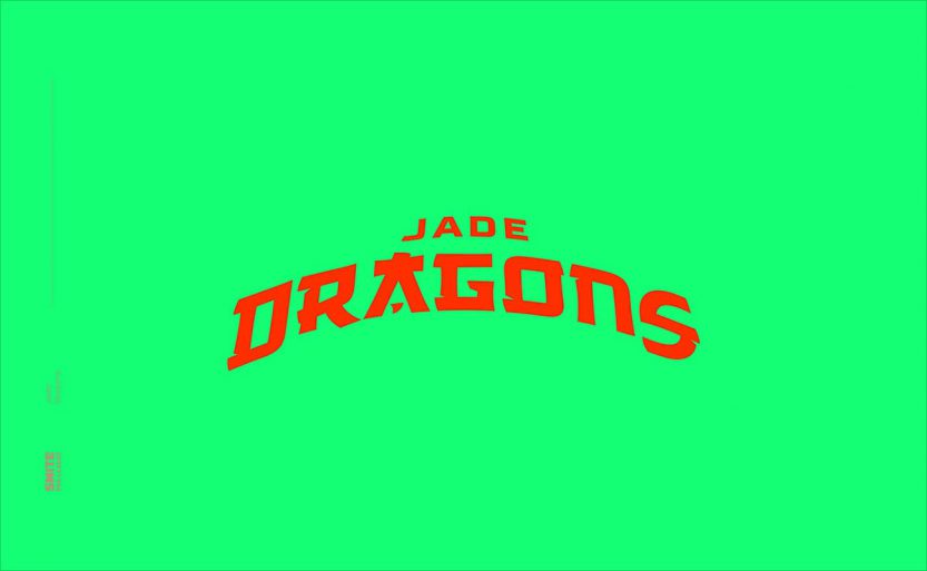 Stunning Pro Sports League Team Logo Designs for Inspiration - Designbolts