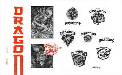 Stunning Pro Sports League Team Logo Designs for Inspiration - Designbolts