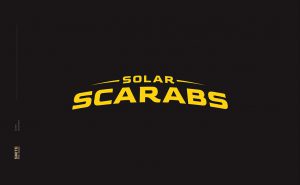 Stunning Pro Sports League Team Logo Designs for Inspiration - Designbolts