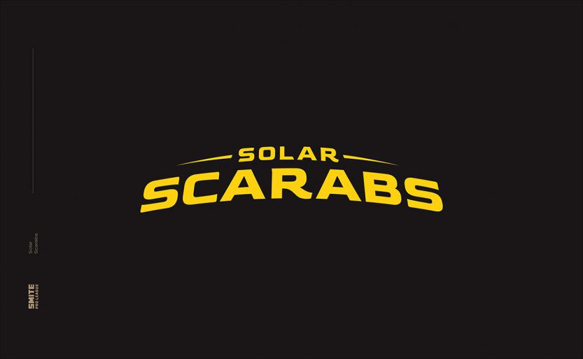 Stunning Pro Sports League Team Logo Designs for Inspiration - Designbolts