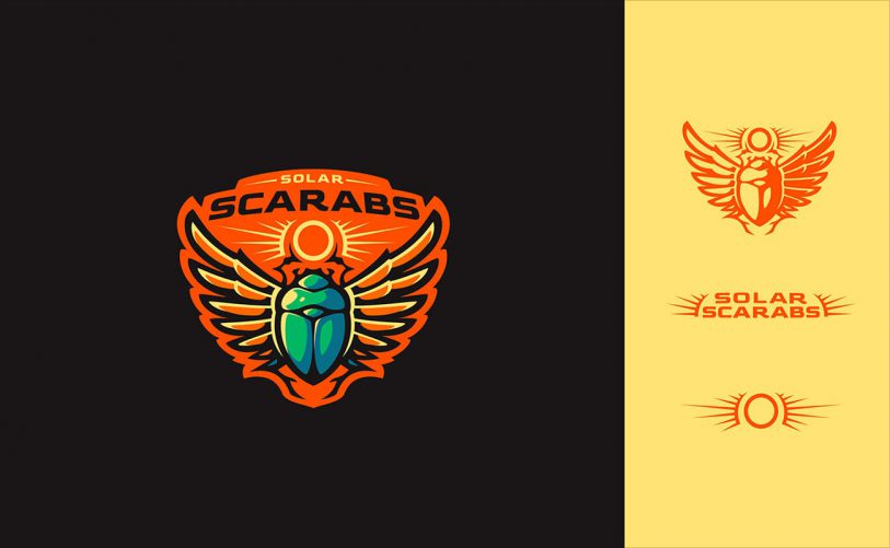 Stunning Pro Sports League Team Logo Designs for Inspiration - Designbolts