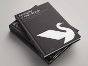 What Are The 7 Principles Of Logo Design? - Designbolts