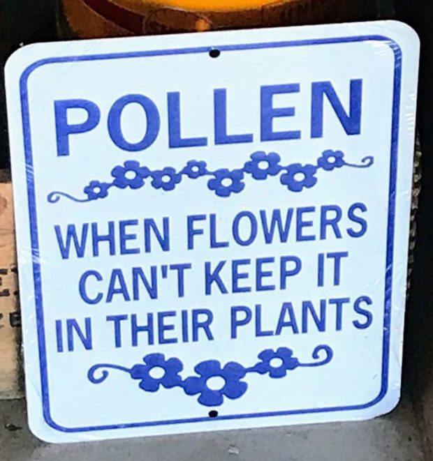 30+ Hilarious Signs That Will Leave You Laughing - Designbolts