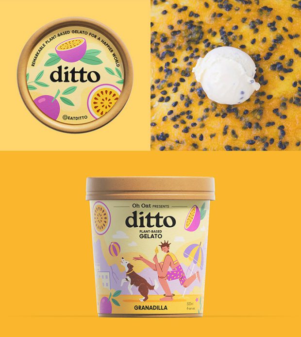 Ditto | Vegan Ice Cream Designs With 11 Branding Tips - Designbolts