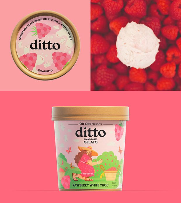 Ditto | Vegan Ice Cream Designs With 11 Branding Tips - Designbolts