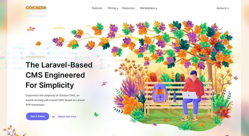 How To Use Illustrations In Web Design? - Designbolts