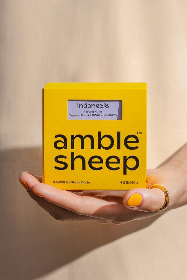 amble sheep Coffee Brand Visual Identity & Packaging Design - Designbolts