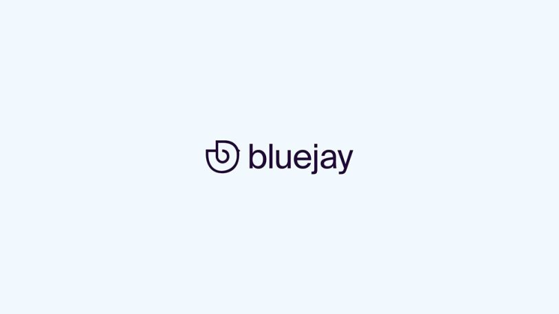 Bluejay: Brand Identity & Website Design - Designbolts