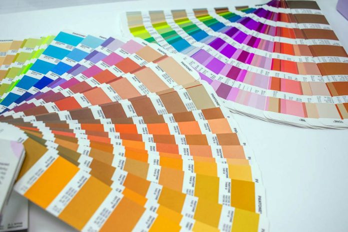 Some Design Terms Every Beginner Designer Should Know - Designbolts